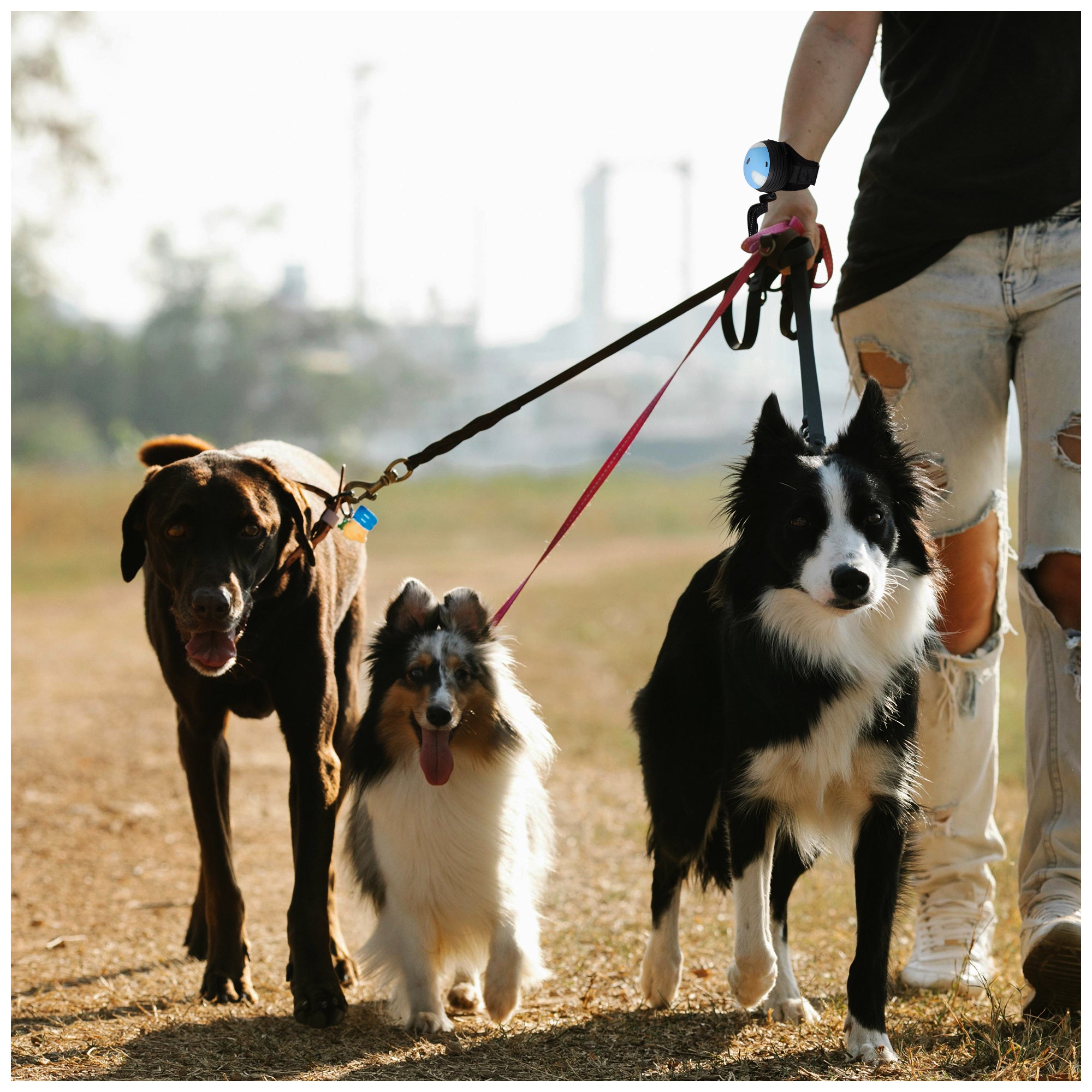 Automatic Telescopic Pet Rope | Durable & Adjustable Leash