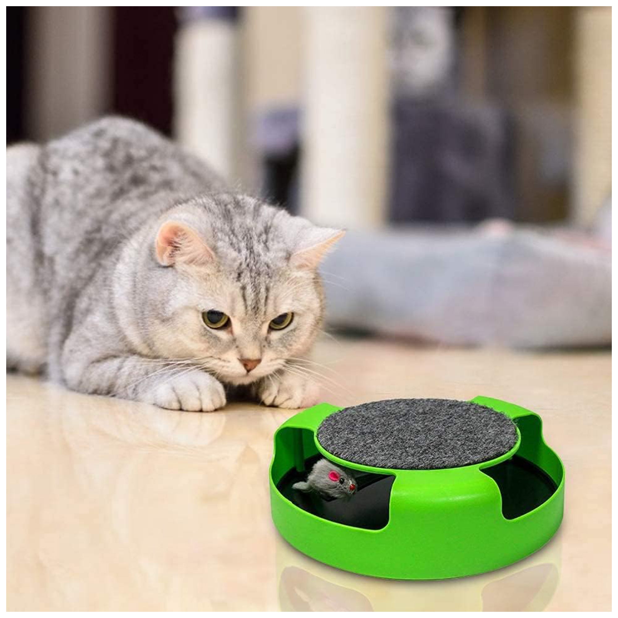 Interactive 360° Cat Toy - Healthy Scratching and Fun